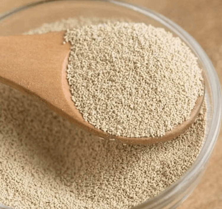 Victoria Yeast 500g – Moer & Meng